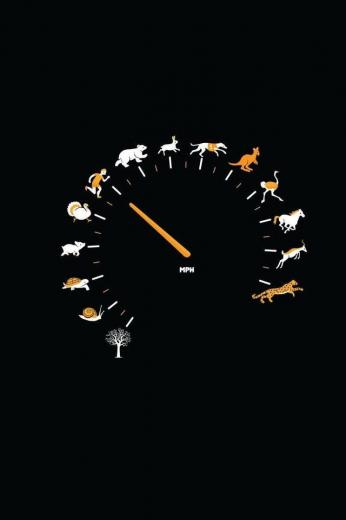 🔥 [50+] Clever Wallpapers for iPhone | WallpaperSafari