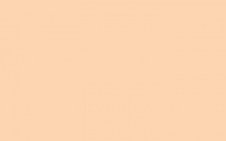 🔥 Free Download Light Apricot Solid Color Background by @bethn ...
