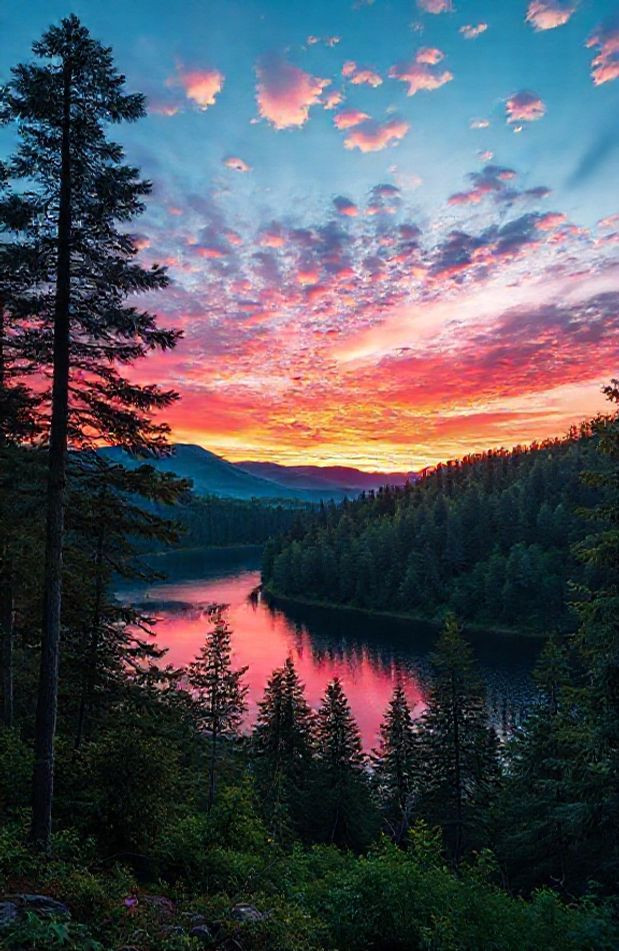 🔥 [70+] Wallpapers Collection Zip | WallpaperSafari