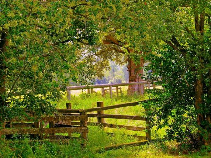 🔥 [130+] Country Backgrounds | WallpaperSafari