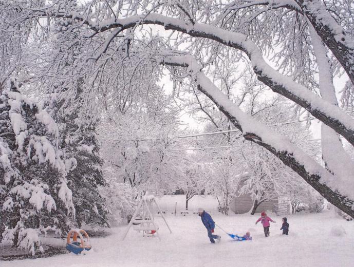 🔥 [120+] Snow Falling Backgrounds | WallpaperSafari