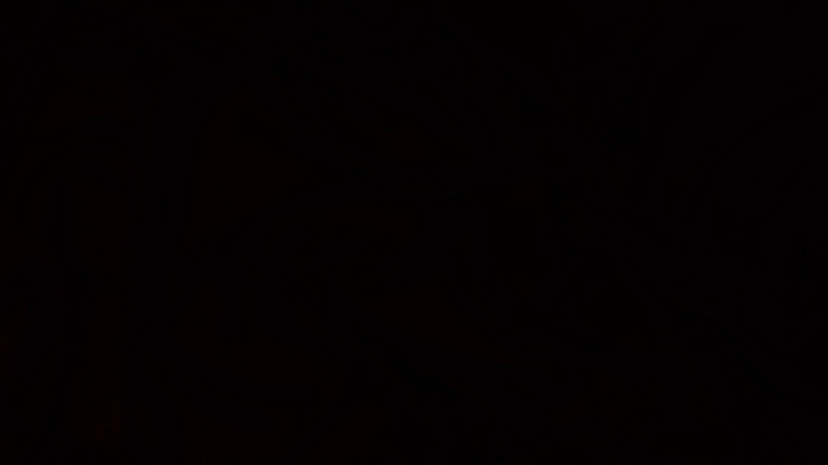 🔥 [40+] Solid Black Wallpapers | WallpaperSafari