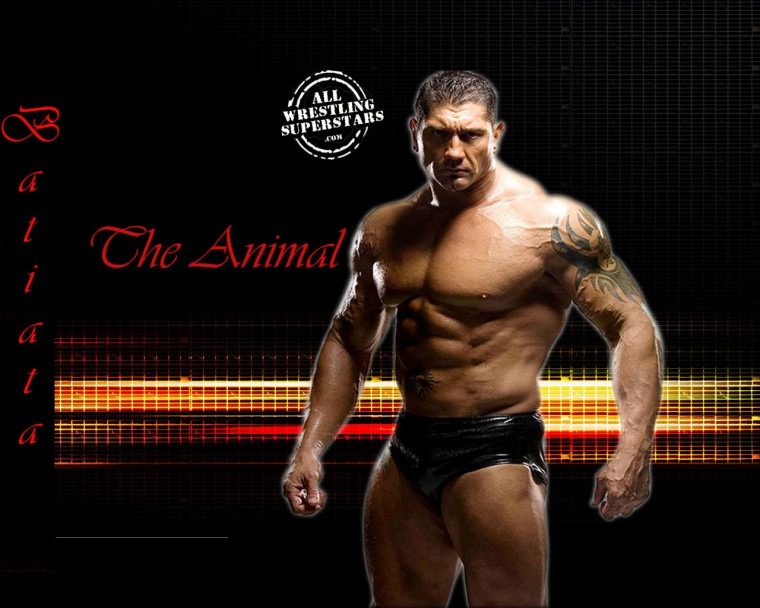 Free download New WWE Batista 2014 Wallpaper by SmileDexizeR [1131x707 ...