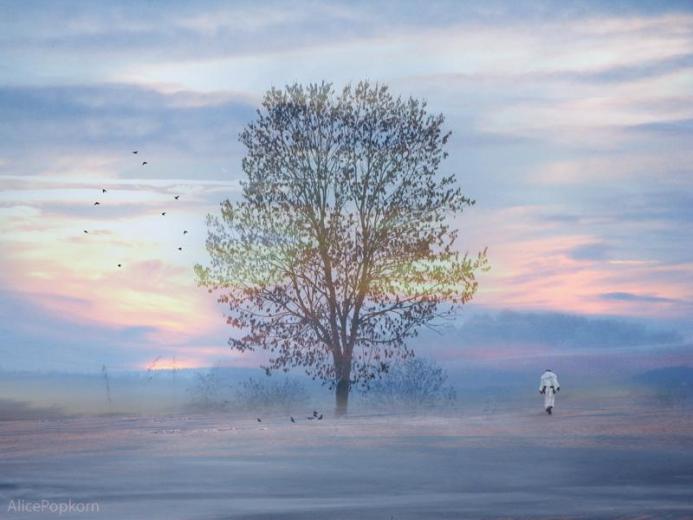 🔥 [40+] Into The Mist Wallpapers | WallpaperSafari