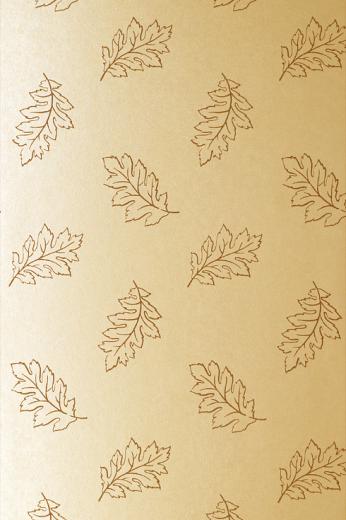 🔥 [50+] Anna French Wallpapers Collection | WallpaperSafari