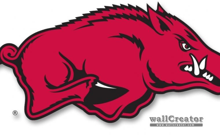 🔥 [90+] Razorback Wallpapers Free | WallpaperSafari