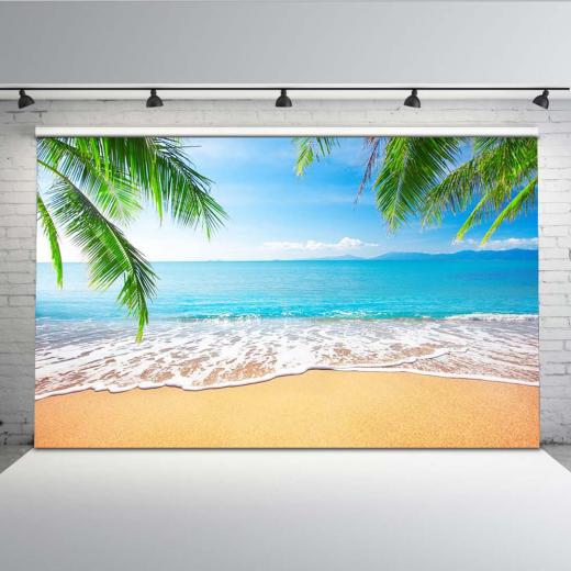 🔥 Free Download Amazon Comophoto Summer Beach Backdrops For Photography ...