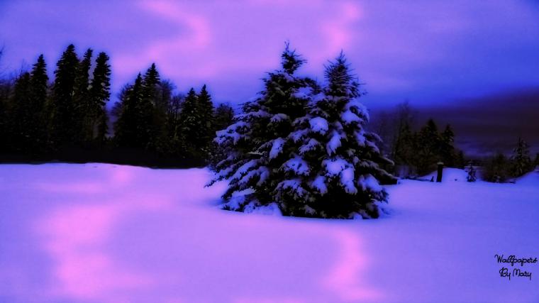 🔥 [30+] Purple Winter Wallpapers | WallpaperSafari