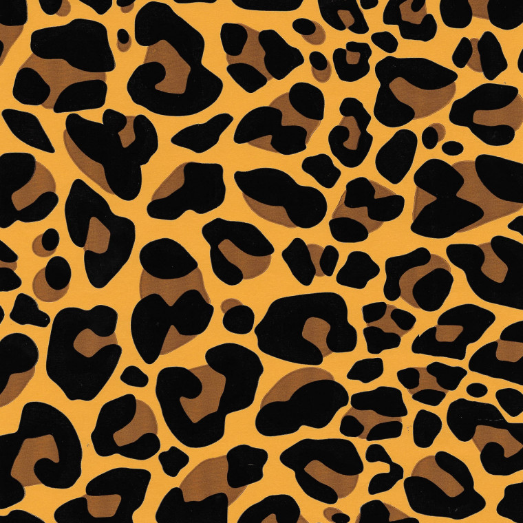 🔥 [70+] Leopard Print Wallpapers | WallpaperSafari