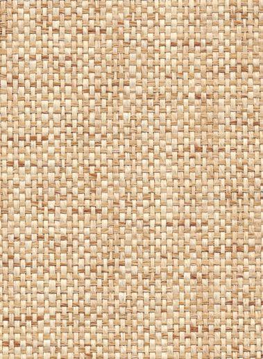 🔥 [50+] Jaima Brown Wallpapers | WallpaperSafari