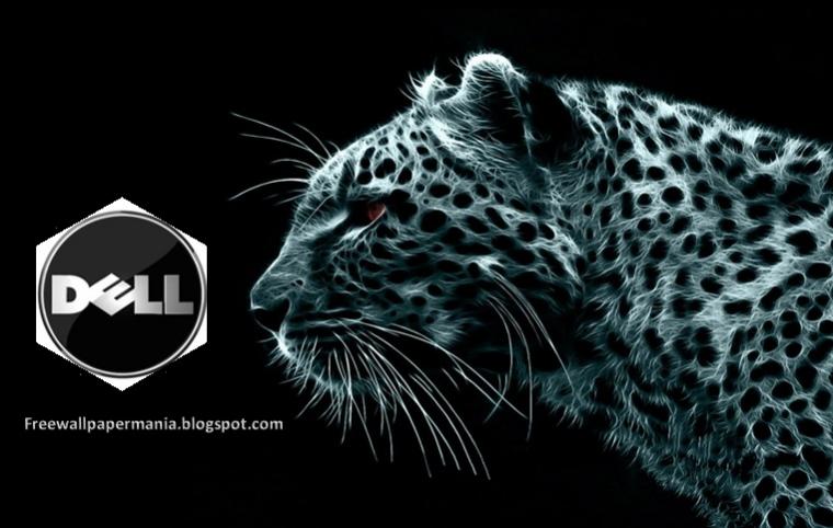 🔥 [50+] Dell Screensavers and Wallpapers | WallpaperSafari