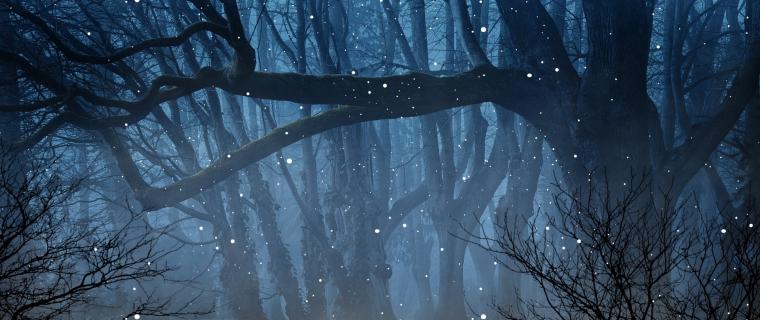 🔥 [10+] Firefly 4K Wallpapers | WallpaperSafari