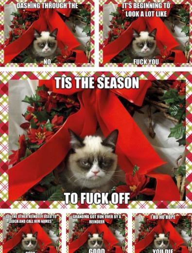 🔥 [50+] Grumpy Cat Christmas Wallpapers | WallpaperSafari