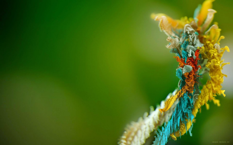 🔥 [50+] Creative Wallpapers | WallpaperSafari