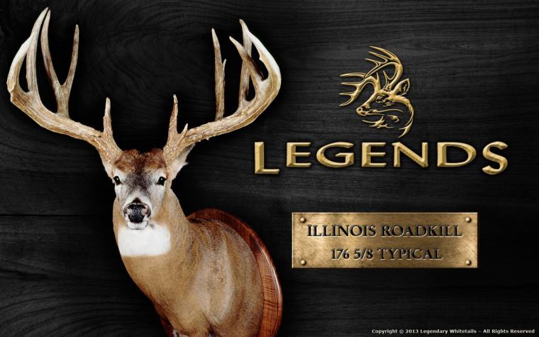 🔥 [50+] Legendary Whitetails Wallpapers | WallpaperSafari