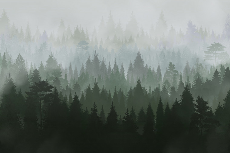 alexandriag84 Wallpaper Collection on WallpaperSafari