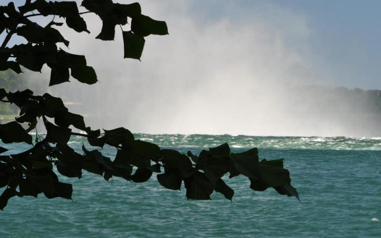 🔥 [40+] Into The Mist Wallpapers | WallpaperSafari