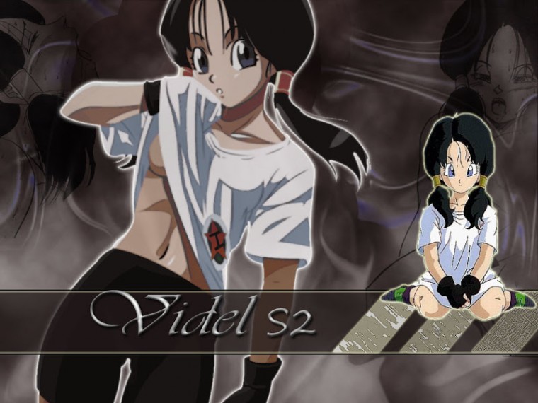 🔥 [110+] Videl Wallpapers | WallpaperSafari