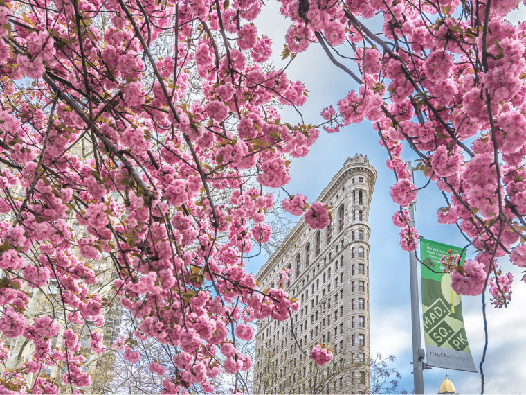 🔥 Free Download Wallpaper Id Spring Washington Square Park Nyc And by ...