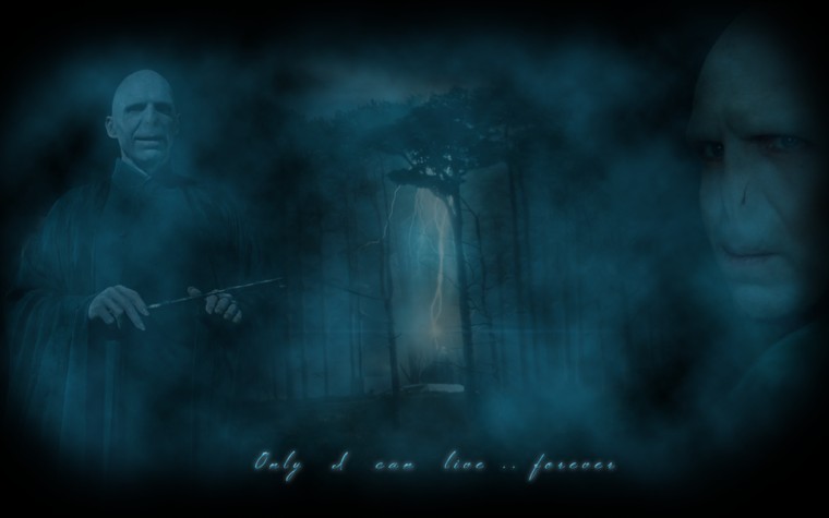 🔥 [140+] Voldemort Wallpapers | WallpaperSafari