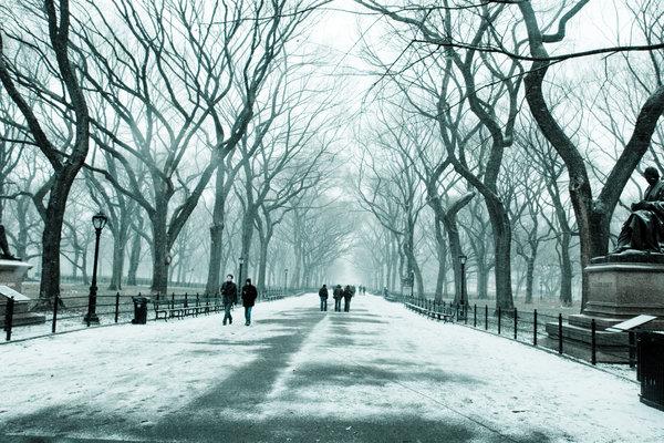🔥 [40+] Central Park Winter Wallpapers | WallpaperSafari