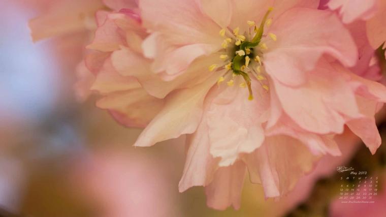 🔥 [50+] 9x16 Wallpapers | WallpaperSafari