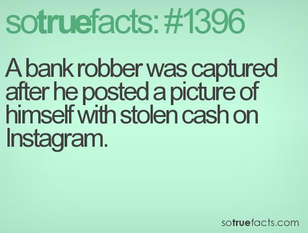 🔥 [50+] Funny Facts Wallpapers | WallpaperSafari