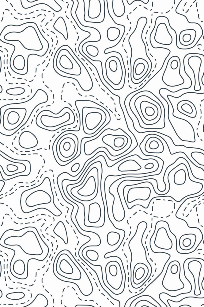 🔥 [10+] Topographic White Wallpapers | WallpaperSafari