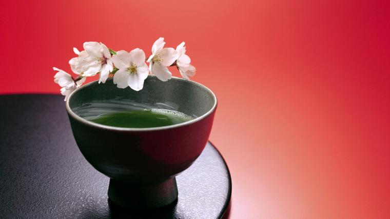 🔥 [70+] Green Tea Wallpapers | WallpaperSafari