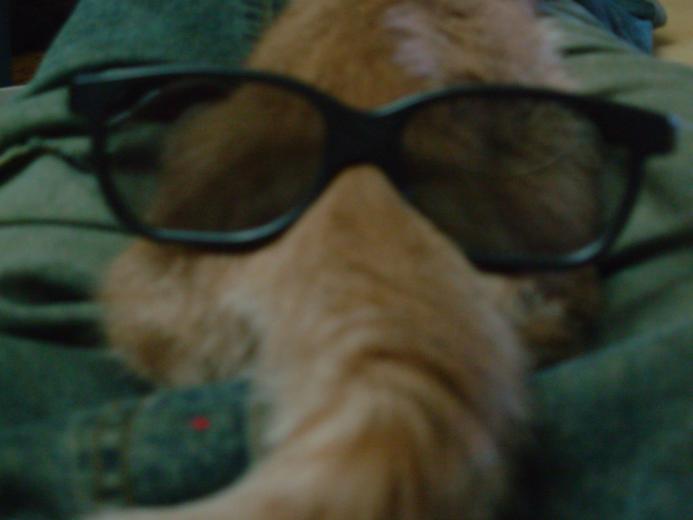 🔥 [30+] Snuffaluffagus Wallpapers | WallpaperSafari