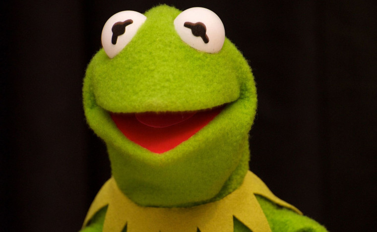 🔥 [70+] Kermit The Frog Wallpapers | WallpaperSafari