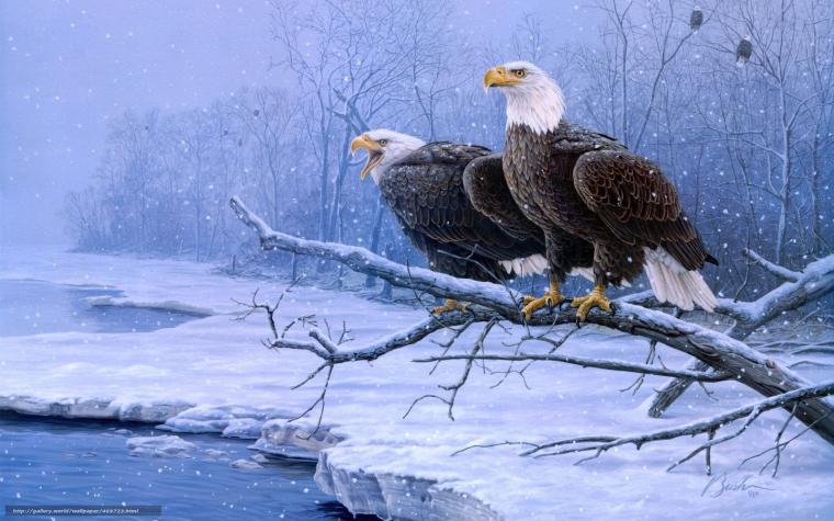 🔥 [110+] Bald Eagle Desktop Wallpapers | WallpaperSafari