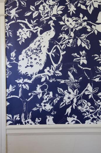 [45+] Peacock Toile Wallpaper on WallpaperSafari