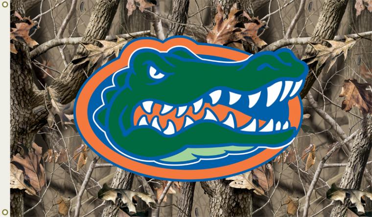 🔥 [50+] Gator Wallpapers for Desktop | WallpaperSafari