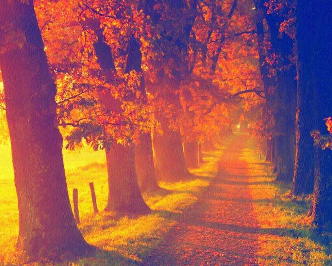 🔥 [40+] High Resolution Vampirella Wallpapers | WallpaperSafari