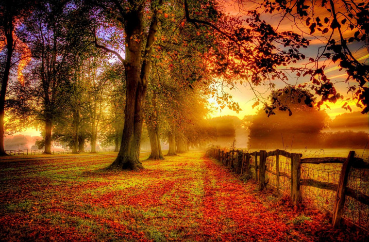 🔥 [60+] Beautiful Autumn Desktop Wallpapers | WallpaperSafari