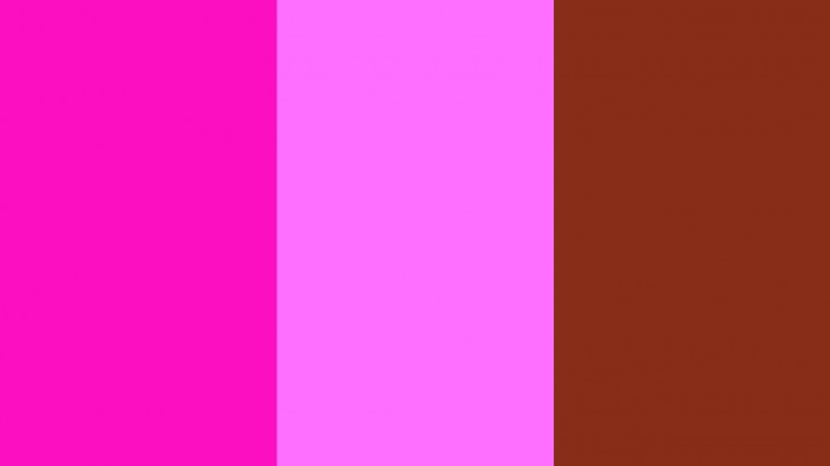 🔥 Free Download Shocking Pink Crayola And Sienna Three Color Background ...