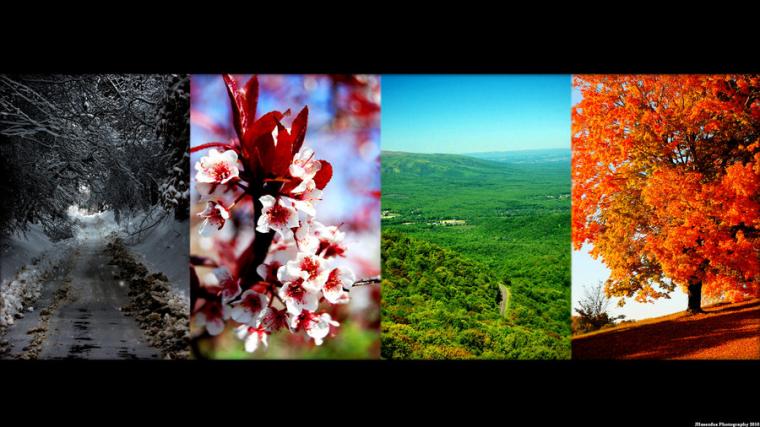 🔥 [40+] Four Seasons Wallpapers | WallpaperSafari