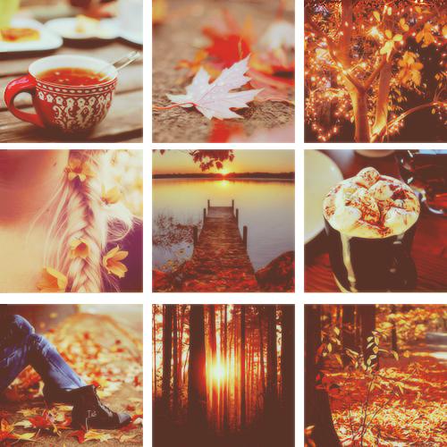 🔥 [100+] Fall Tumblr Wallpapers | WallpaperSafari