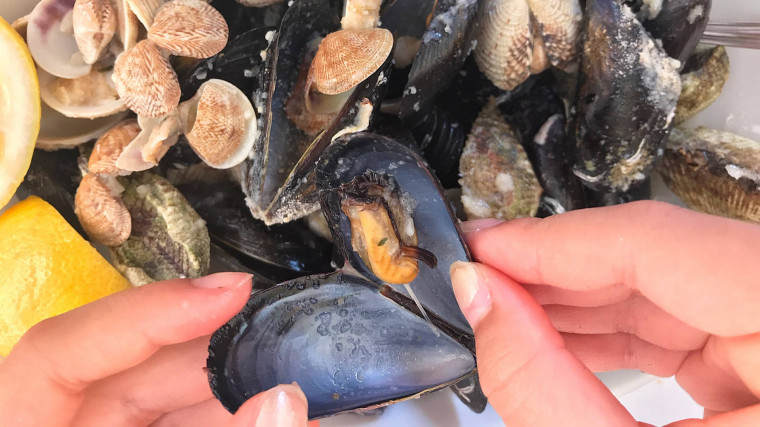 🔥 Free Download Mussel With Bright Orange Meat Wallpaper by @cgardner ...