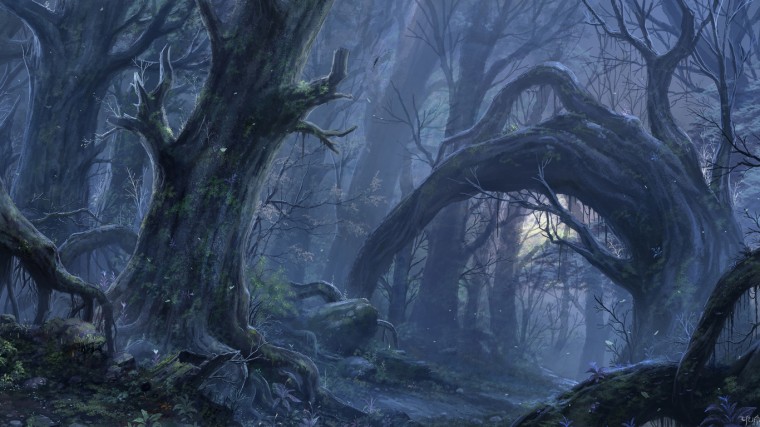 🔥 Free Download Creepy Trees Dark Forests Mist Wallpaper | WallpaperSafari