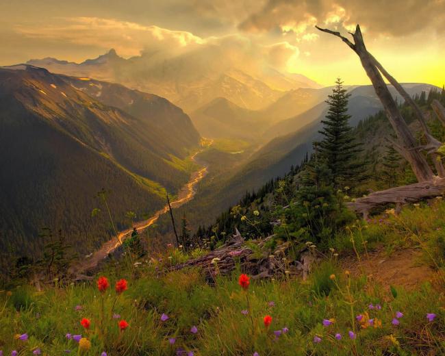 🔥 [40+] Spring Wallpapers 1280x1024 | WallpaperSafari