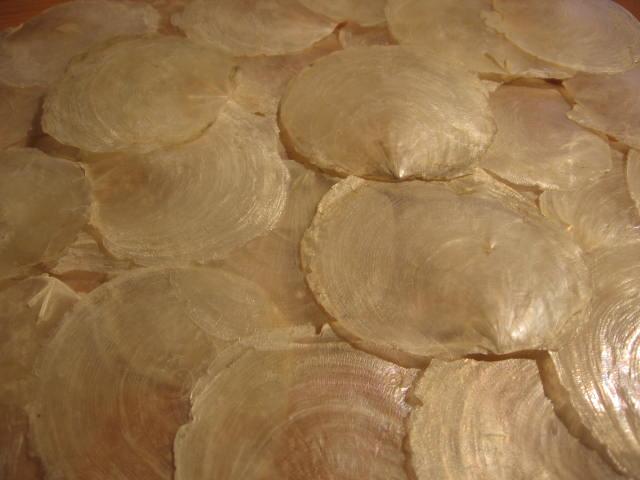 🔥 [50+] Capiz Shell Wallpapers | WallpaperSafari