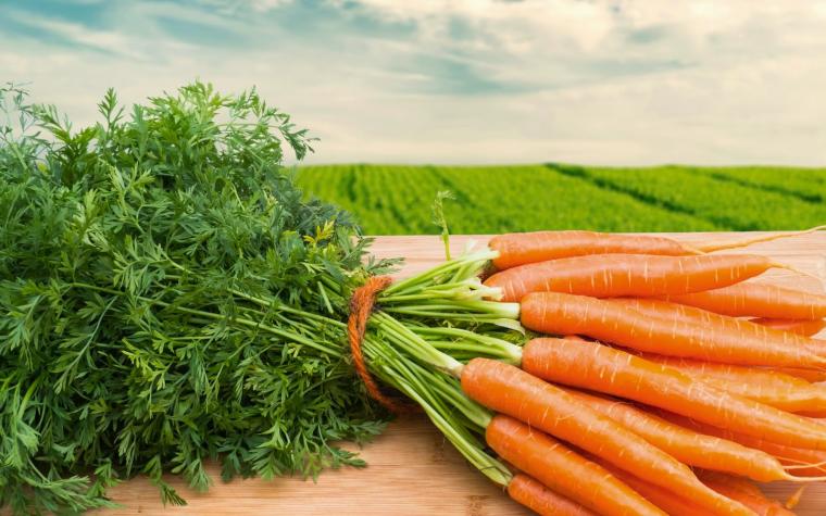 🔥 Free Download Carrot Computer Wallpaper Desktop Background by ...