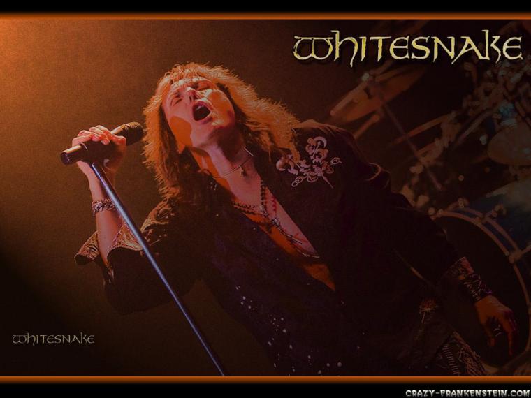 Free download Download Whitesnake Coverdale [Discography] Torrent 1337x ...