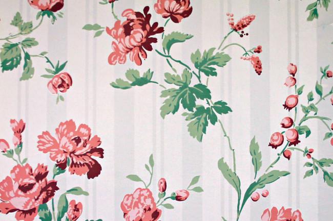 🔥 [50+] Wall Candy Wallpapers | WallpaperSafari