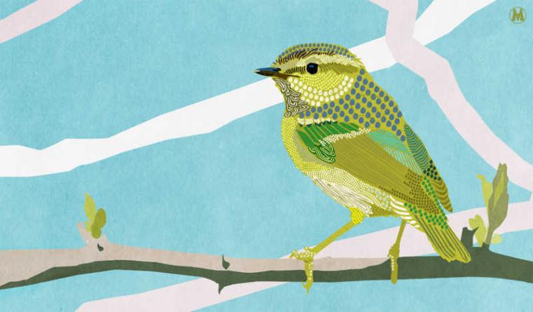 🔥 [50+] Mike Lythgoe Wallpapers | WallpaperSafari