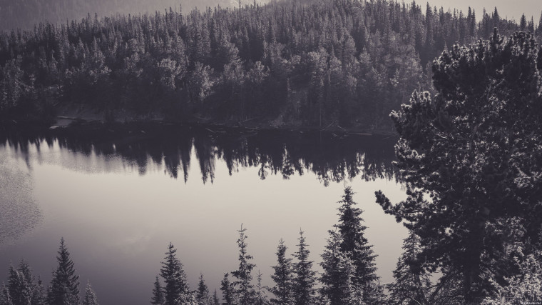 🔥 [50+] Forest Lake Wallpapers | WallpaperSafari