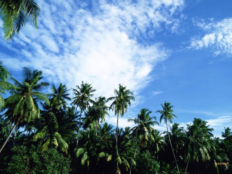 dhuff Wallpaper Collection on WallpaperSafari