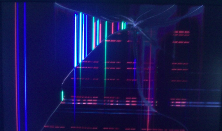 🔥 [70+] Broken Lcd Screen Wallpapers | WallpaperSafari